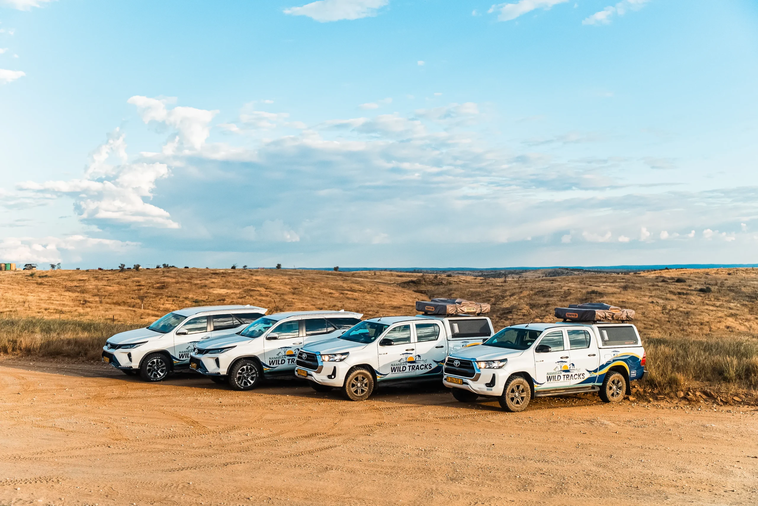 Essential Travel Tips for Namibia’s Intrepid Explorers